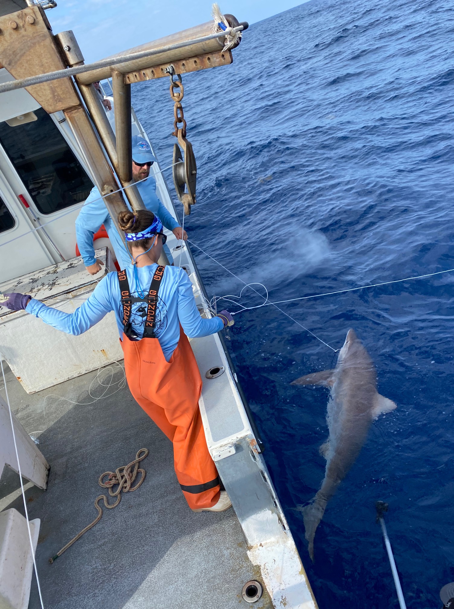 Career Paths in Coastal Conservation: Interviews With Three SCDNR Staffers – SCDNR Blog